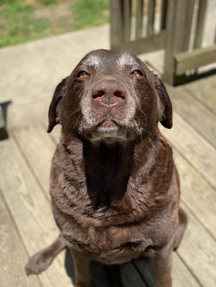 Sookie | Boys of Tommen Wiki | Fandom