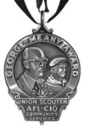 George Meany Award | Boy Scouts of America Wiki | Fandom
