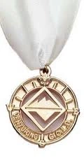 Venturing Gold Award | Boy Scouts of America Wiki | Fandom