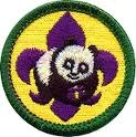 Venturing World Conservation Award | Boy Scouts of America Wiki | Fandom