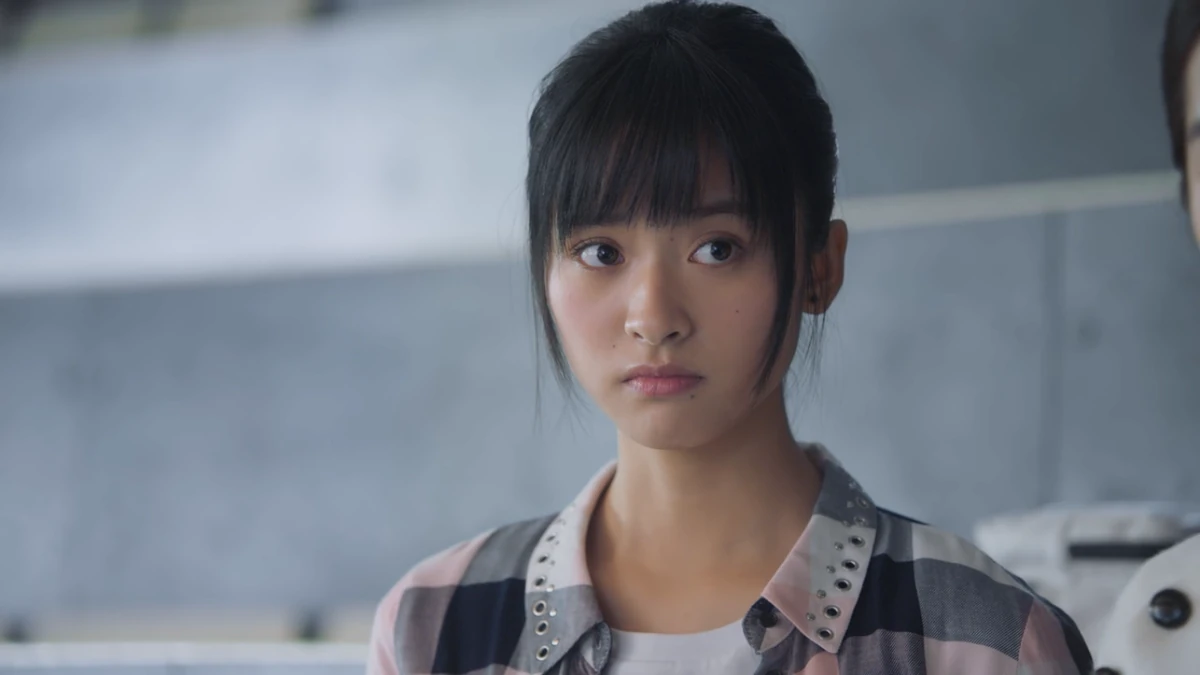 Shan Cai Meteor Garden Husband | Fasci Garden