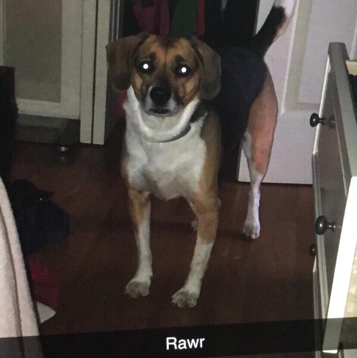 Strange | Charley Yang Wiki | Fandom