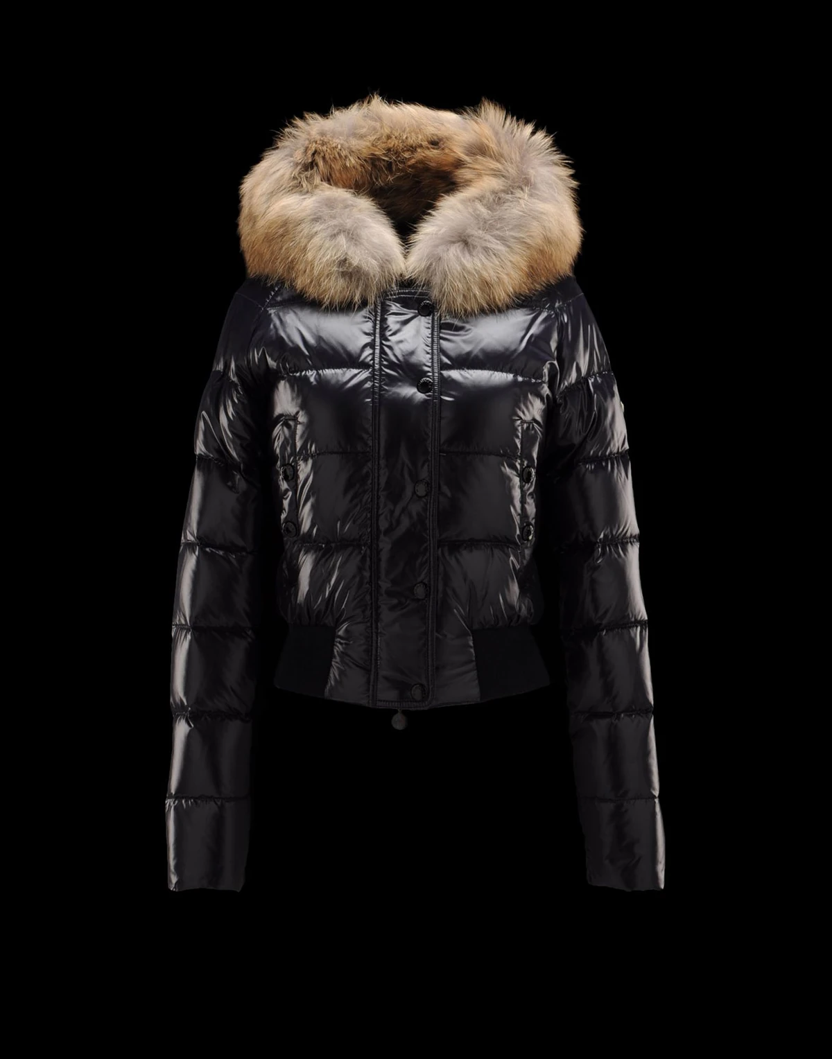 2010-2011 | Best Puffer Brand Wiki | Fandom