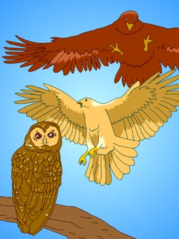 Birds | BrainPOP Wiki | Fandom