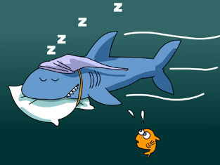 Sharks | BrainPOP Wiki | Fandom