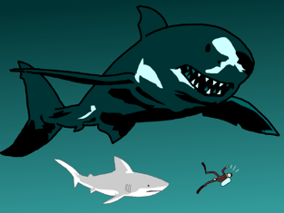 Sharks | BrainPOP Wiki | Fandom