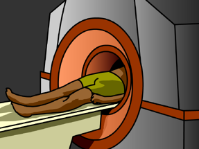 Body Scans | BrainPOP Wiki | Fandom