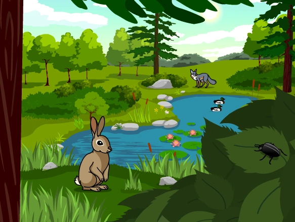Ecosystems | BrainPOP Wiki | Fandom