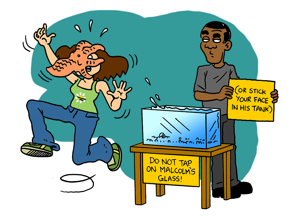 Mollusks | BrainPOP Wiki | Fandom