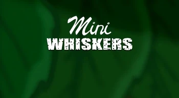 Mini Whiskers | Brandy and Mr. Whiskers Wiki | Fandom