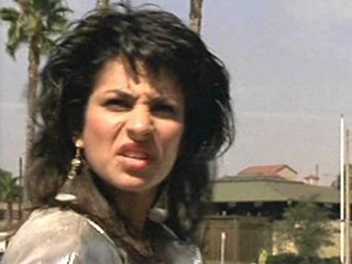 Dixie | Branson Universe Wiki | Fandom