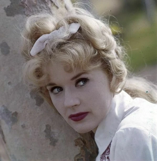 Connie Stevens | Brantleyverse Wiki | Fandom
