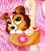 Cashmere | Bratz Wiki | Fandom