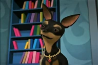 Taco | Bratz Wiki | Fandom