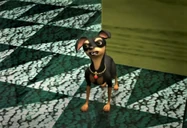 Taco | Bratz Wiki | Fandom