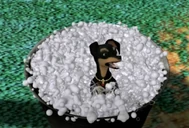 Taco | Bratz Wiki | Fandom
