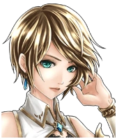 Gate of Memoirs/Stage of Battle | Brave Frontier Wiki | Fandom