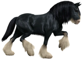 Angus | Brave Wiki | Fandom