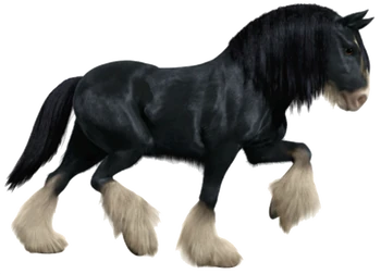 Angus | Brave Wiki | Fandom