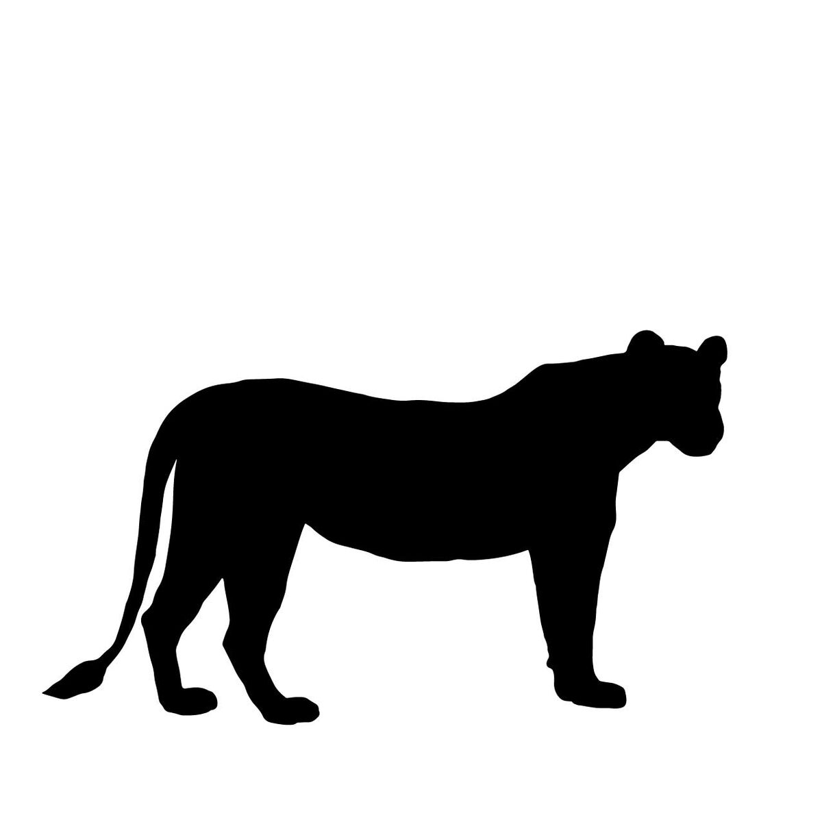 Agile Bravelands Wiki Fandom