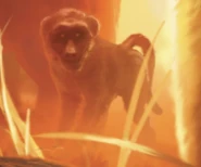 Thorn | Bravelands Wiki | Fandom