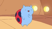 Catbug | Bravest Warriors Wiki | Fandom