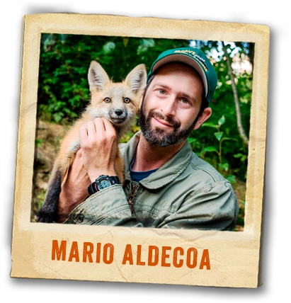 Mario Aldecoa | Brave Wilderness Wiki | Fandom