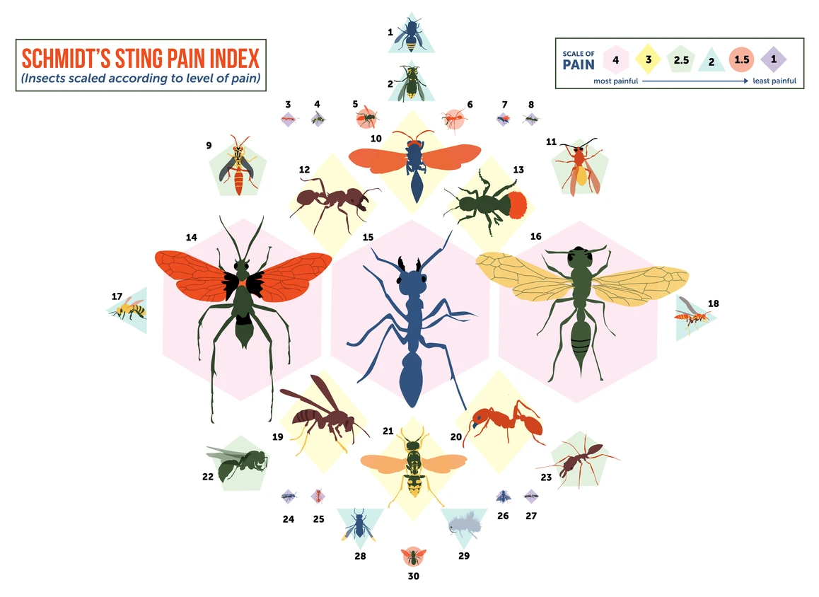 Schmidt Sting Pain Index | Brave Wilderness Wiki | Fandom