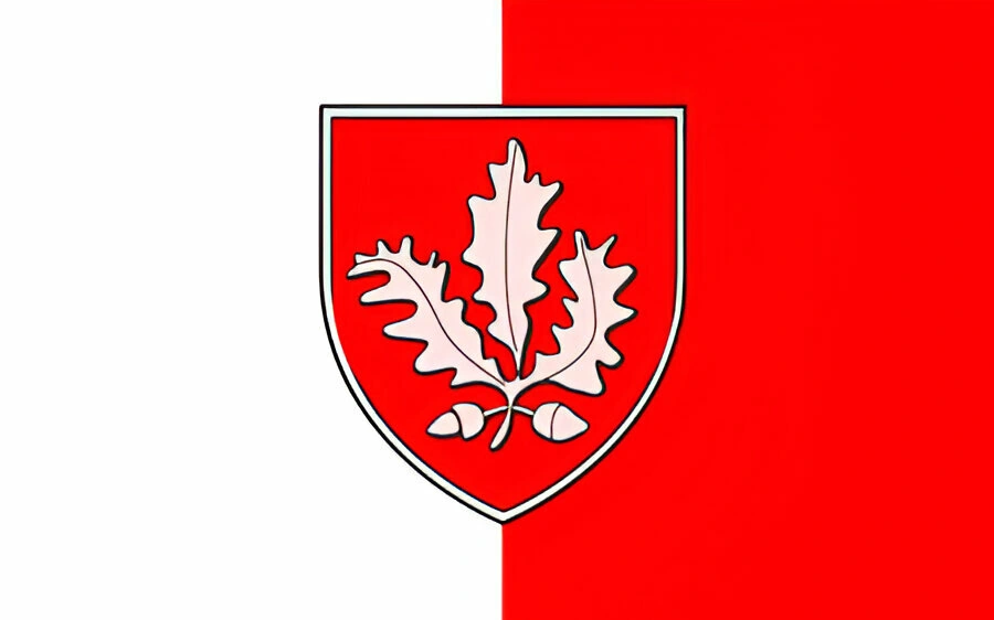 Derry | BMC Wiki | Fandom