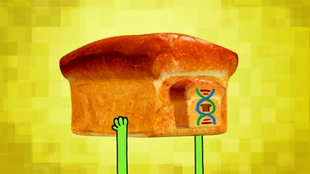 Clone Bread | Breadwinners Wiki | Fandom