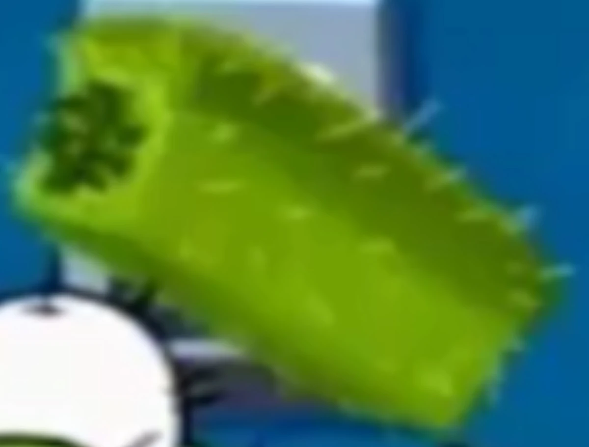 Cactus Bread | Breadwinners Wiki | Fandom