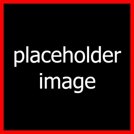 Items | BREAK IN AND STEAL THINGZ Wiki | Fandom