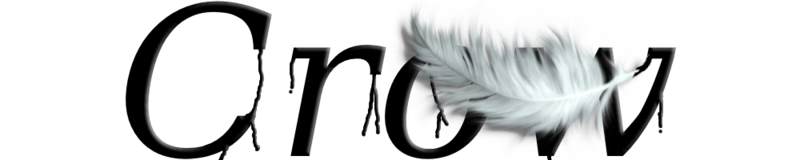 Crow | BREAK IN AND STEAL THINGZ Wiki | Fandom