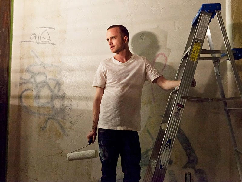 Problem Dog | Breaking Bad Wiki | Fandom