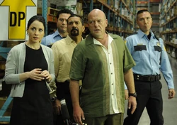 Lydia Breaking Bad Stevia