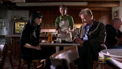 Phoenix | Breaking Bad Wiki | Fandom