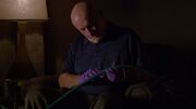 Fifi | Breaking Bad Wiki | Fandom