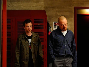 breaking bad catching fly