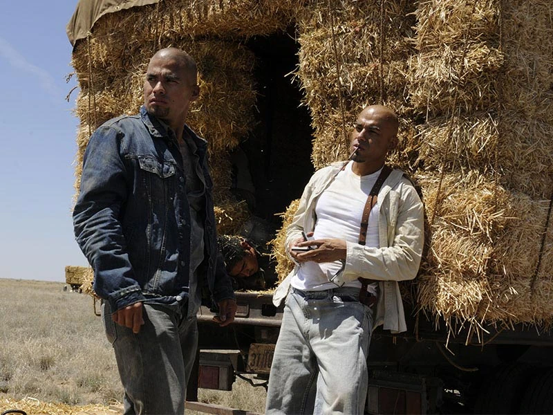 Category:Season 3 Episodes (Breaking Bad) | Breaking Bad Wiki | Fandom