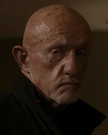 Mike Ehrmantraut | Breaking Bad Wiki | Fandom