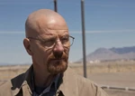 Problem Dog | Breaking Bad Wiki | Fandom