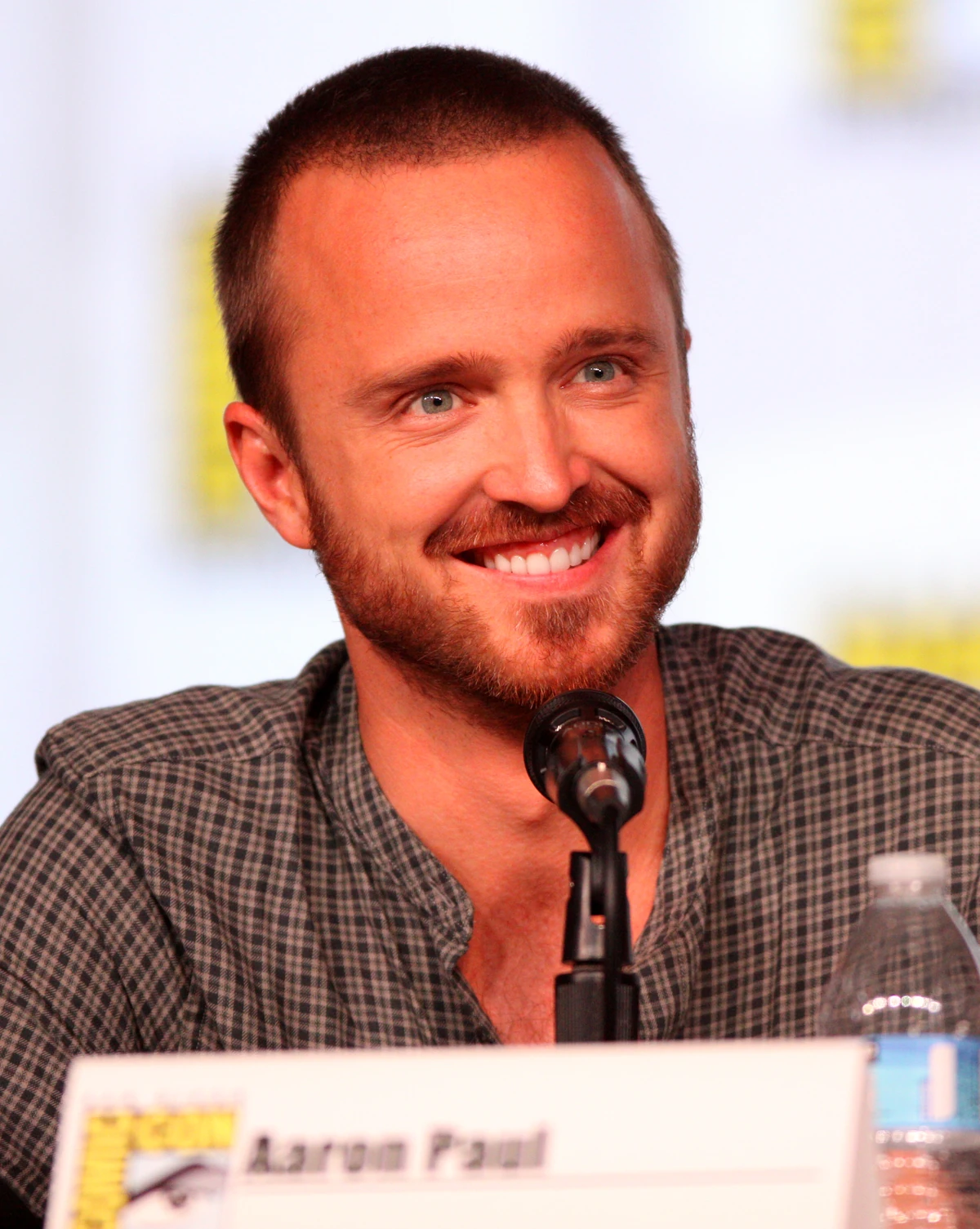 Aaron Paul | Breaking Bad Wiki | Fandom