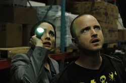 Lydia Breaking Bad Stevia