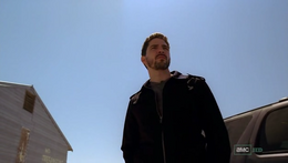 Problem Dog | Breaking Bad Wiki | Fandom