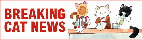 Breaking Cat News Wiki | Fandom