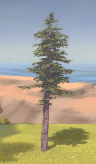 Pine Tree | Breakwaters Wiki | Fandom