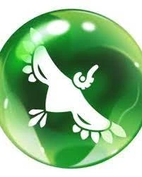 Revali's Gale | Breath of the Wild Ultimate Guide Wiki | Fandom