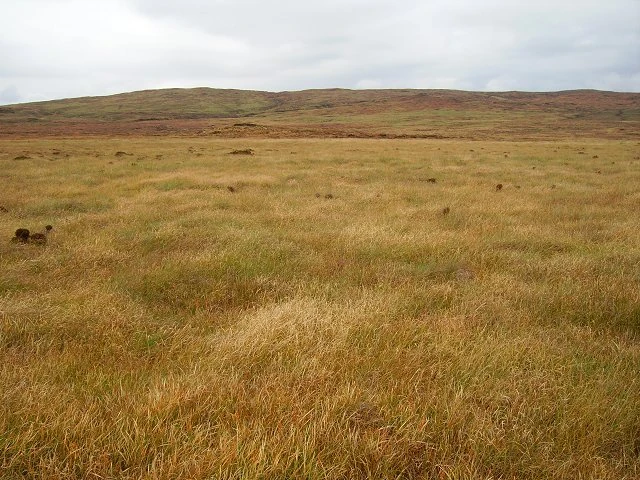 Devil Grass | Brelyria Wikia | Fandom