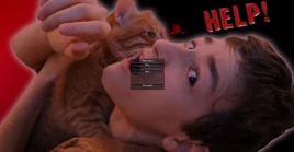 Tigra Revenge | Brian Maps вики | Fandom