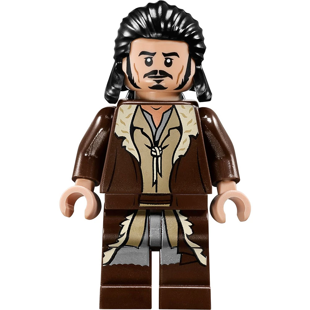 Bard de Boogschutter | Brickipedia | Fandom